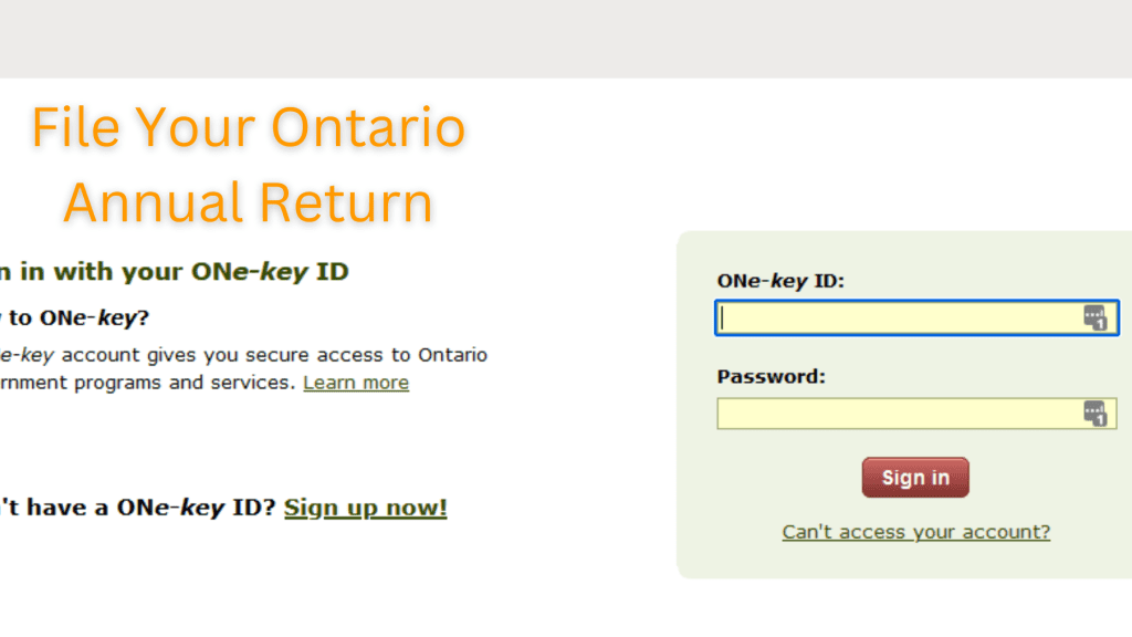 How To File Your Ontario Annual Return – OnPoint Tax